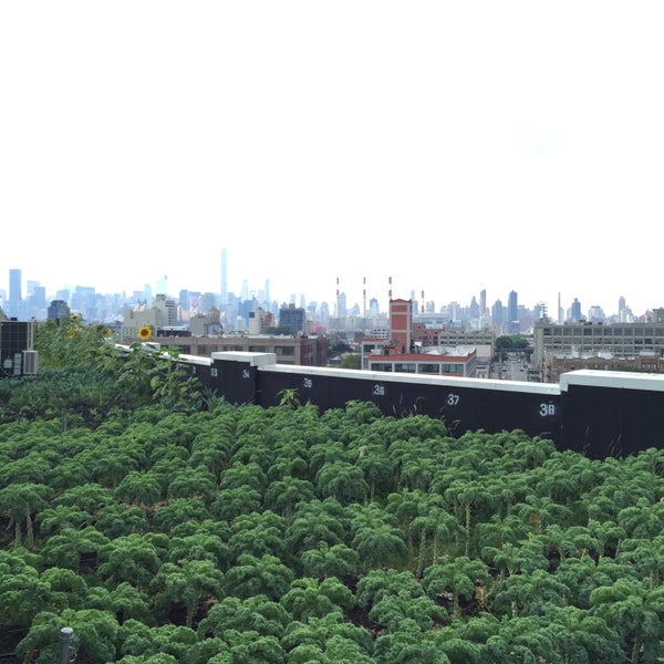 Photos at Brooklyn Grange Rooftop Farm - Long Island City, NY