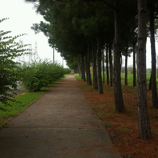 University of Guilan | دانشگاه گیلان - رشت, گیلان