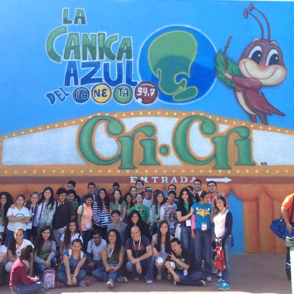 Teórico Acuario Voluntario foto la canica azul Tiza cemento montón