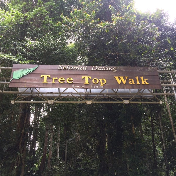 Kulim Tree Top Walk