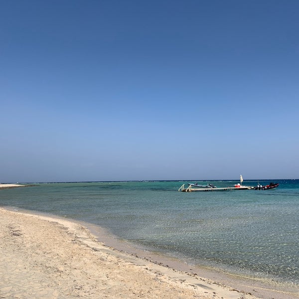 Marsa Shagra Reef - Dive Spot