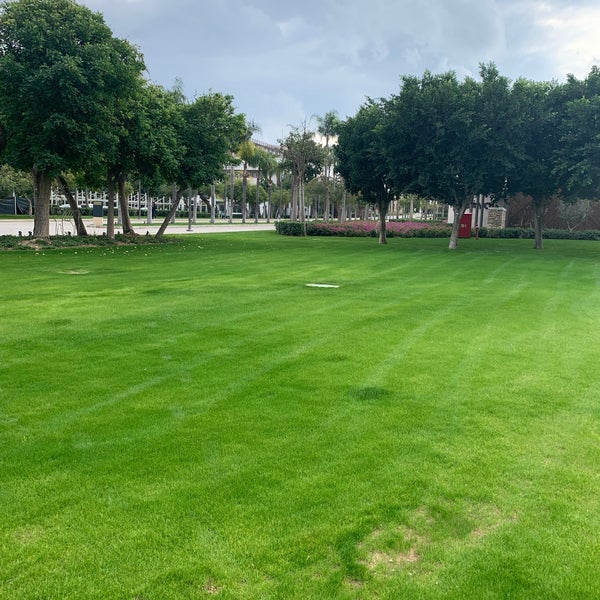 Lara Barut Collection