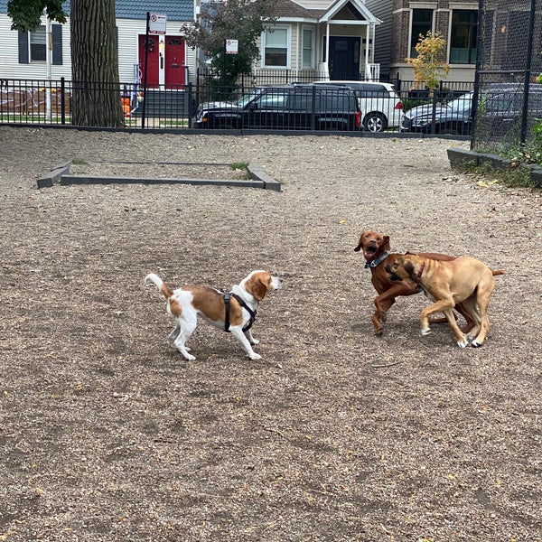 Hamlin Dog Park - Roscoe Village - 11 tips