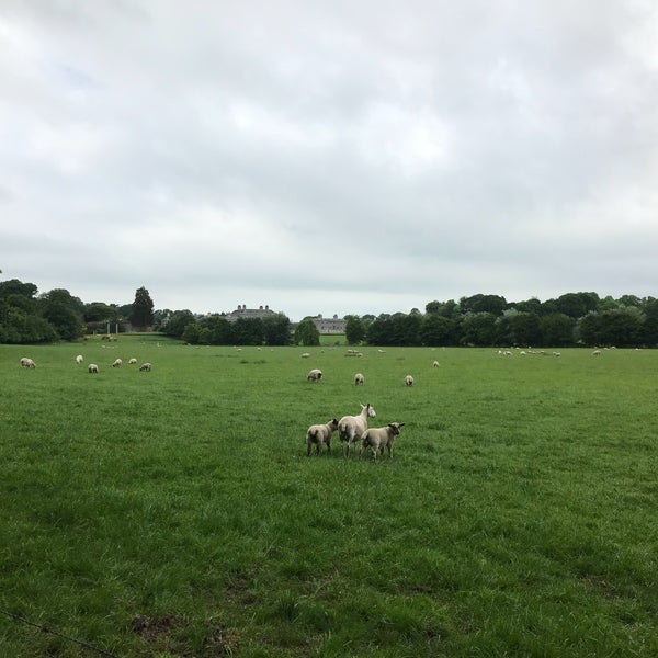 Russborough House - Historic and Protected Site