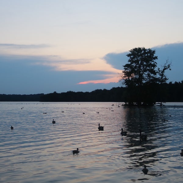 Photos at Cromwell Valley Park - Park