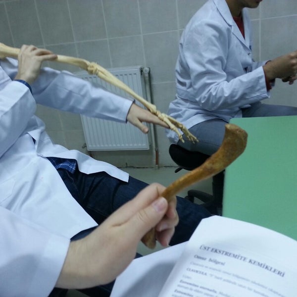 Anatomi Laboratuvarı - College Lab in Cumhuriyet