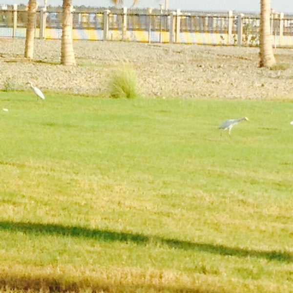 KAUST Security, Visitor's Gat - ثول - 1 tip