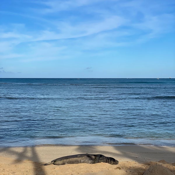 Queen's Beach - Surf Spot in Diamond Head - Kapahulu - St. Louis