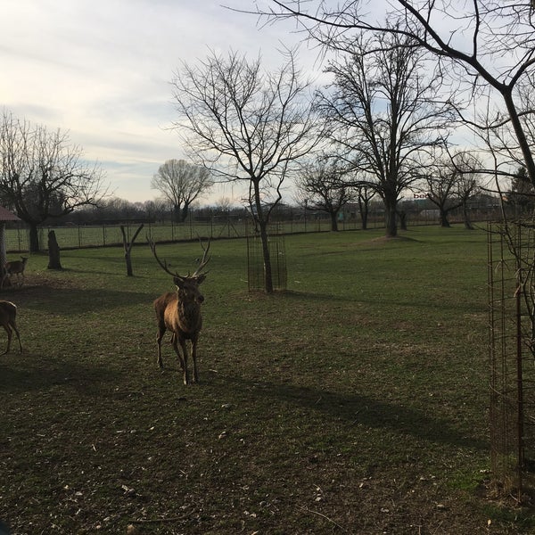 Parco Arcadia - Bareggio, Lombardia