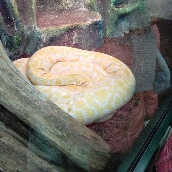 Photos at Animal World and Snake Farm - New Braunfels, TX
