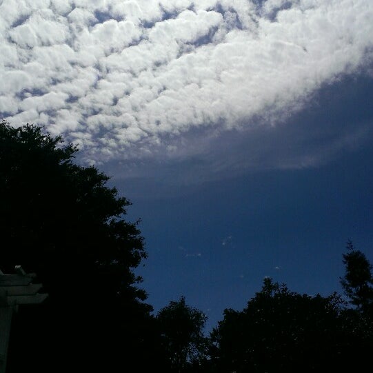 Wickersham Park - Park