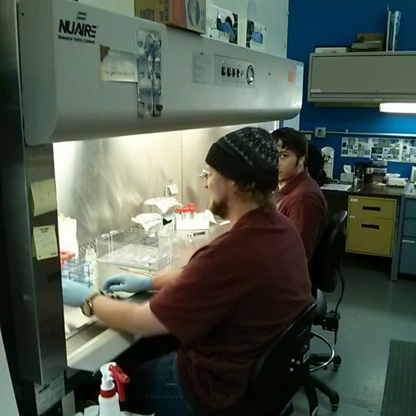 Assured Bio Labs - Structure