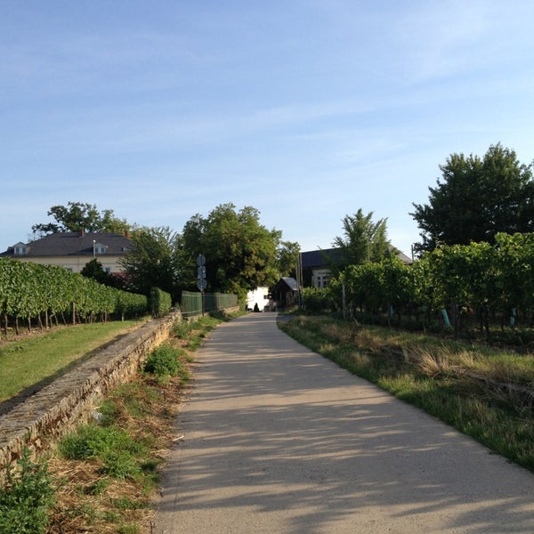 Hochheim am Main - 1 tip from 403 visitors