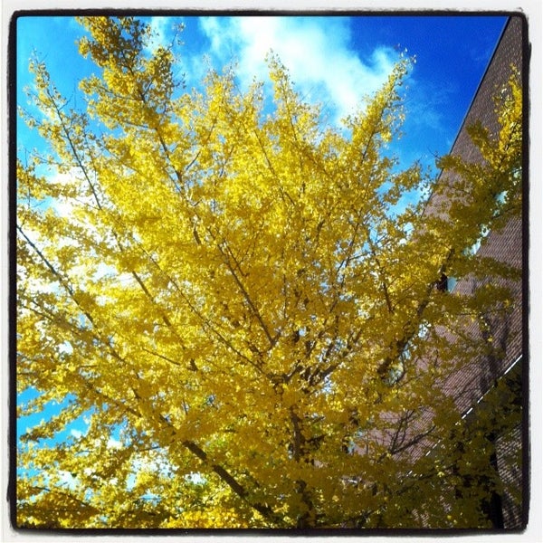 Photos at Gleeson Hall - Farmingdale, NY