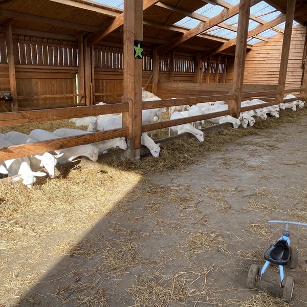 Geertjes Hoeve - Farm