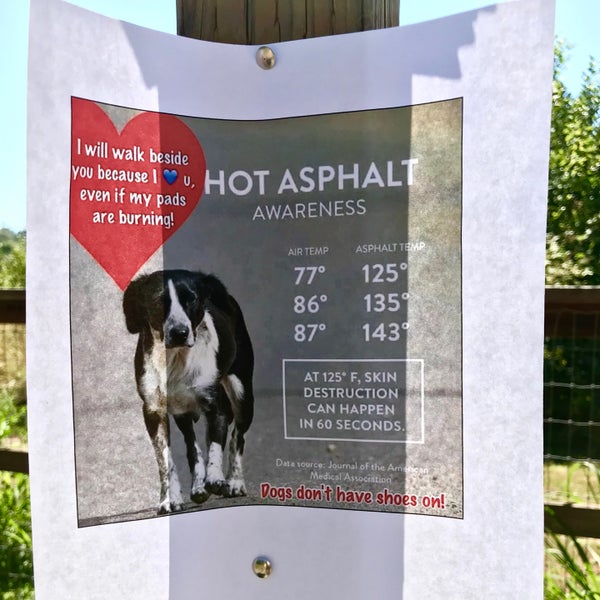 Hazelia Field Dog Park - West Lynn - West Linn, OR