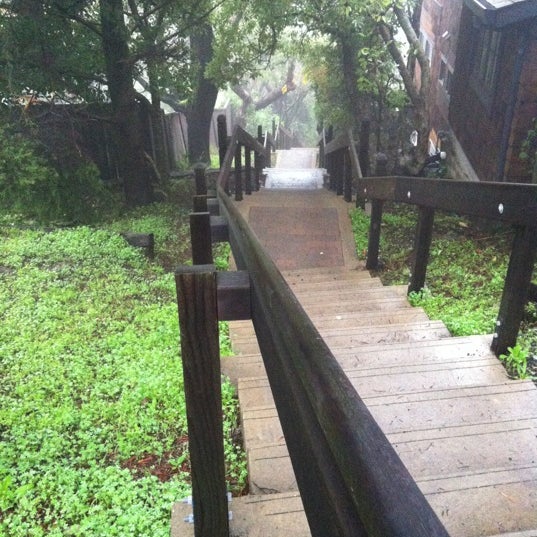 Dipsea Steps - 3 tips from 374 visitors