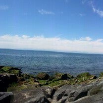 Camp Byng - Campground