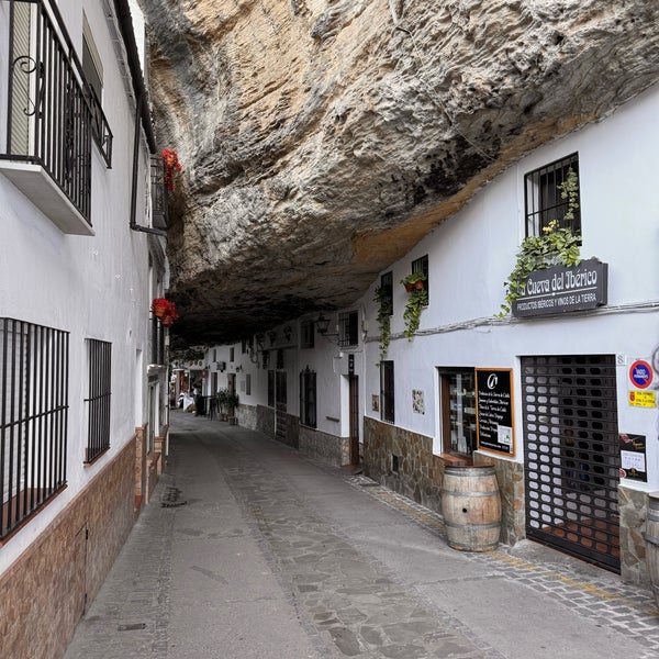Setenil de las Bodegas - 10 tips from 1057 visitors