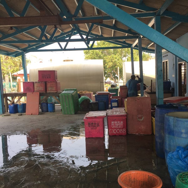 Penyabong Jetty - Harbor or Marina