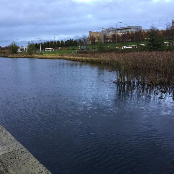 Loch Ross - Lake in Edinburgh