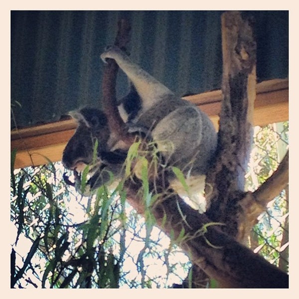 Symbio Wildlife Park - Zoo