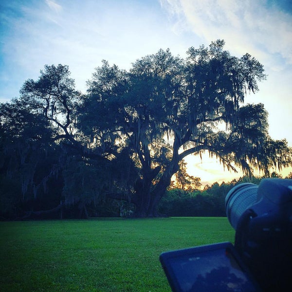 Cellon Oak Park - Gainesville, FL