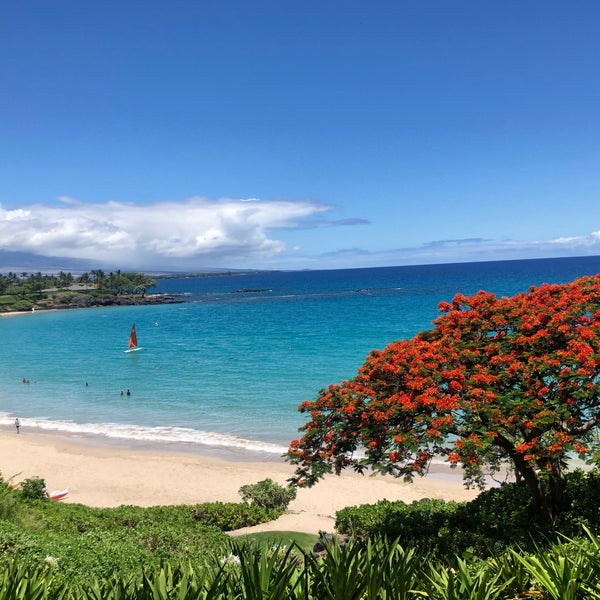 Hau Tree - Seafood Restaurant