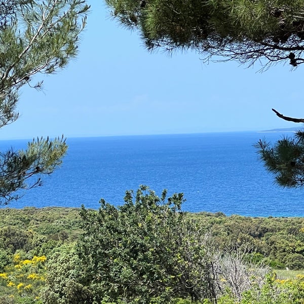 Vir - 4 tips from 964 visitors