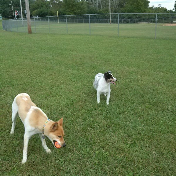Nicholas Ball Park - 3 tips
