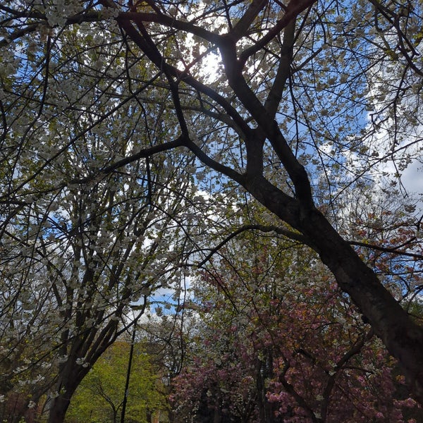 Meath Gardens - Park in Mile End and Globe Town