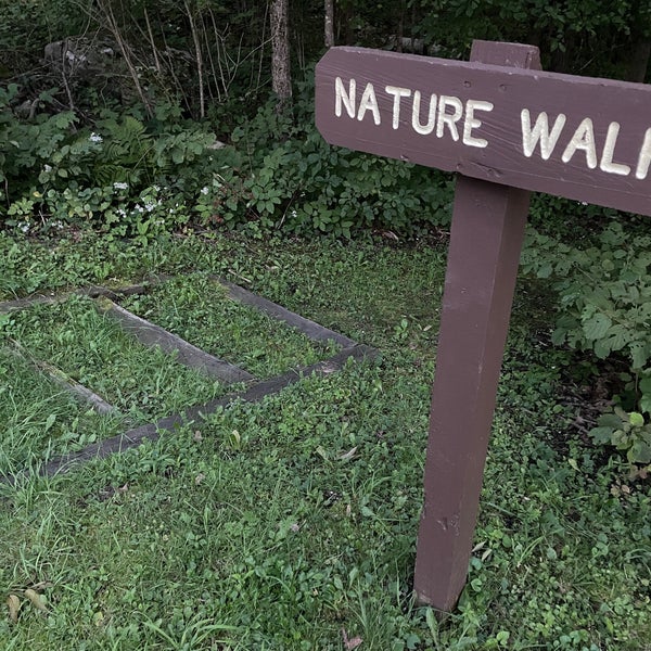 Beartown State Forest - Great Barrington, MA