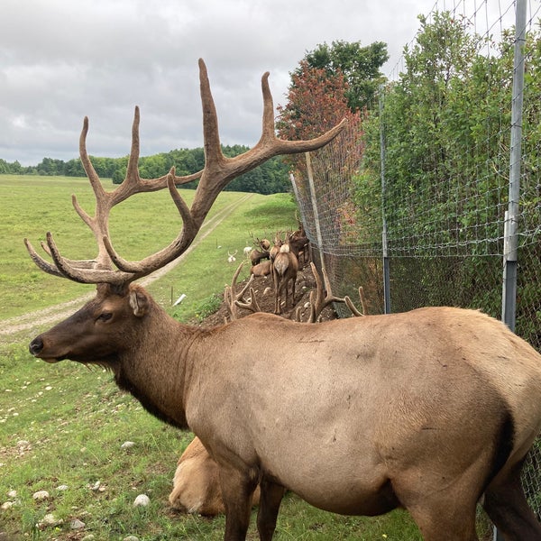 Elk View Park - 6 tips