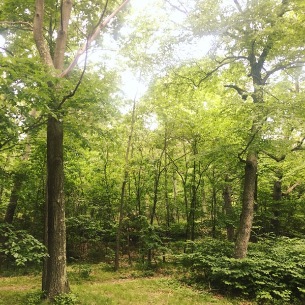 Photos at 99 Steps and Ellicott Arch - Boston, MA