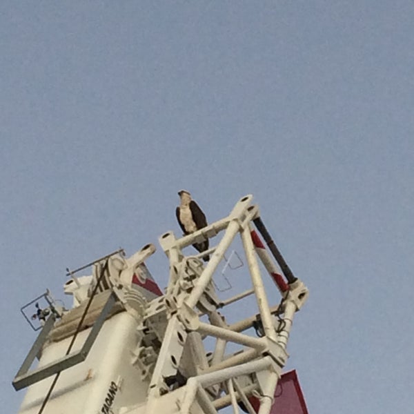 Australian Marine Complex (AMC) - Henderson, WA