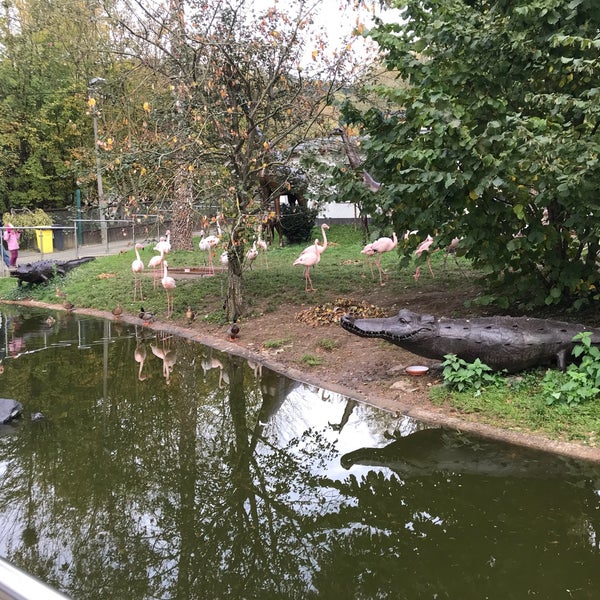 Zoo Neuwied - Neuwied, Rheinland-Pfalz