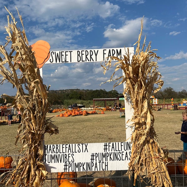 Sweet Berry Farm - 14 tips