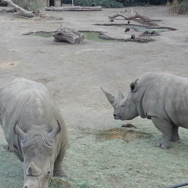 Safari West - Other Great Outdoors in Santa Rosa