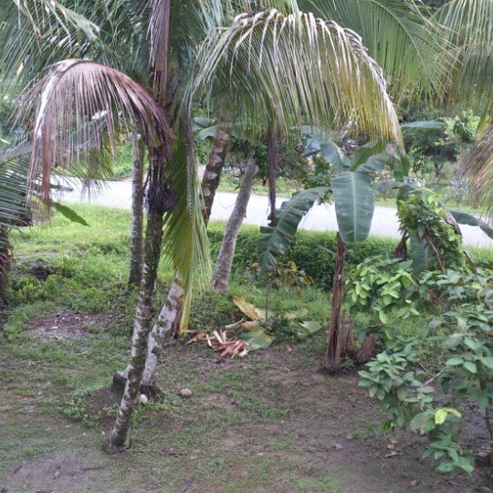 Celcom Branch - Office