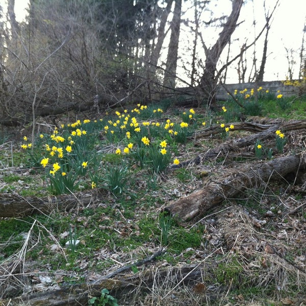Ironton Rail Trail - Trail in Coplay