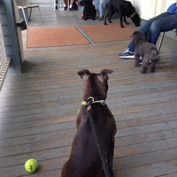 Photos at Merwin Memorial Animal Clinic - 8 tips from 174 visitors