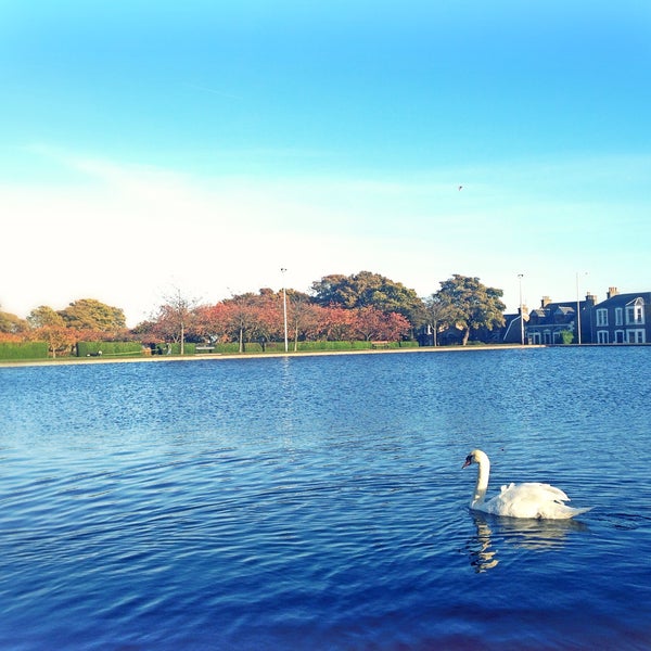 Swanny Ponds - Lake in Dundee