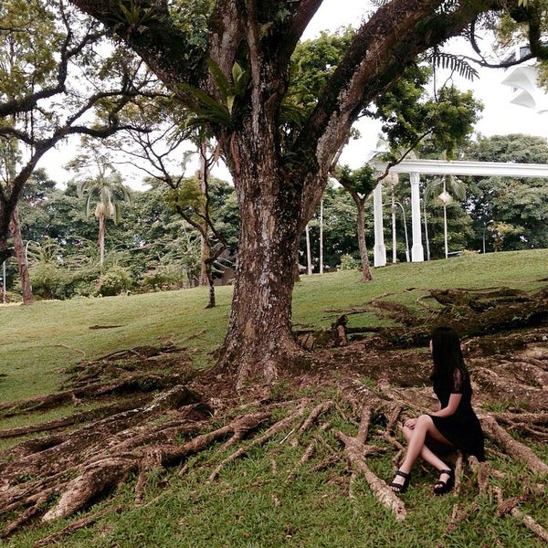 Photos at Kuching Amphitheatre (Panggung Udara) - Park in Kuching