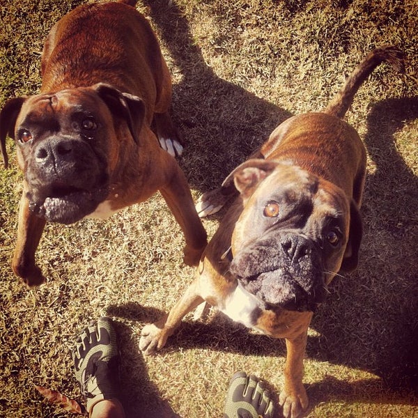 Crown Square Aquatic Centre - Waterloo, NSW