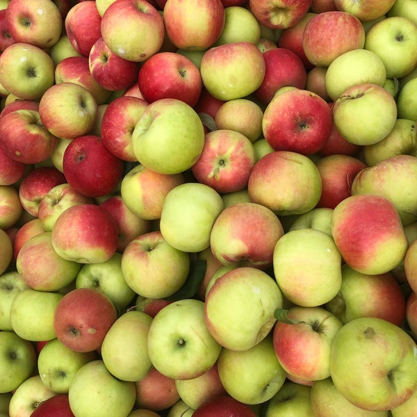 Beckwith Orchards - 4 tips