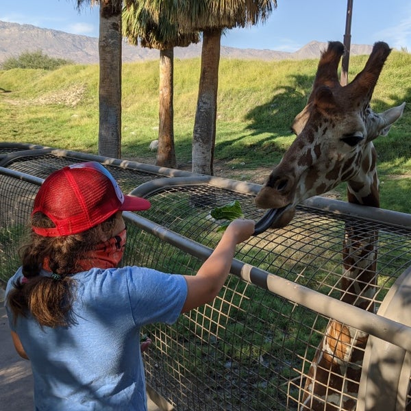Giraffe Exhibit - 6 tips from 245 visitors