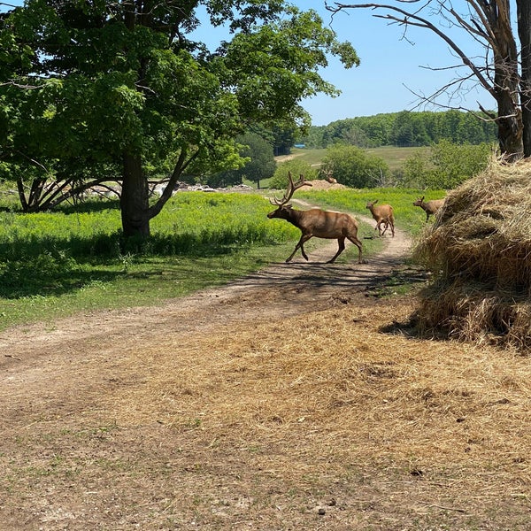 Elk View Park - 6 tips