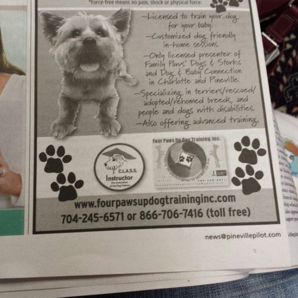 Four Paws Up Peace of Mind Dog Training, LLC - Pineville, NC