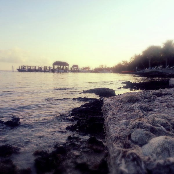 Executive Bay Club - Islamorada, FL