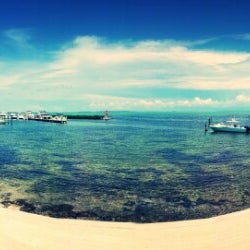 Executive Bay Club - Islamorada, FL